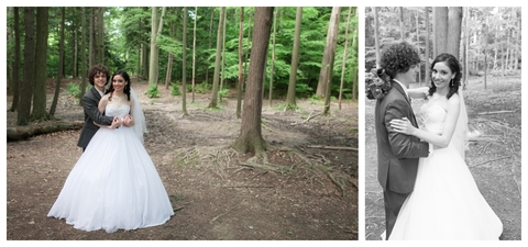 Chestnut Ridge Wedding Buffalo, NY - Bridget Rochelle Photography